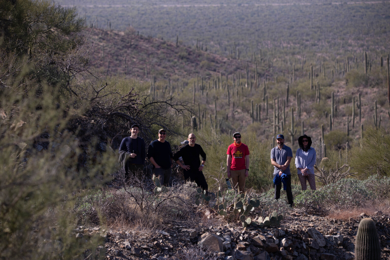 Profile — Aranda \ Lasch